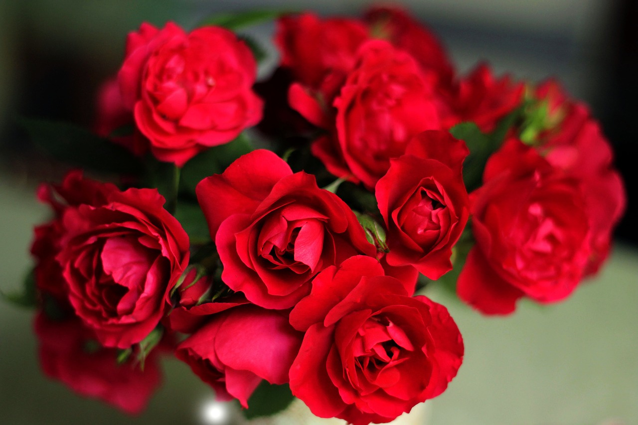 Bouquet di fiori rossi: i più belli e le occasioni nelle quali regalarli